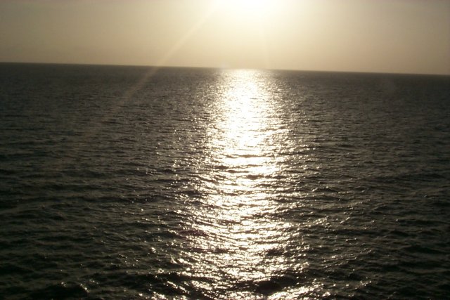 Our Trip